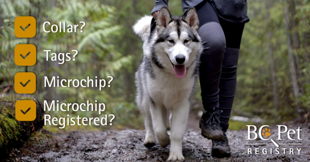Resources - BC Pet Registry
