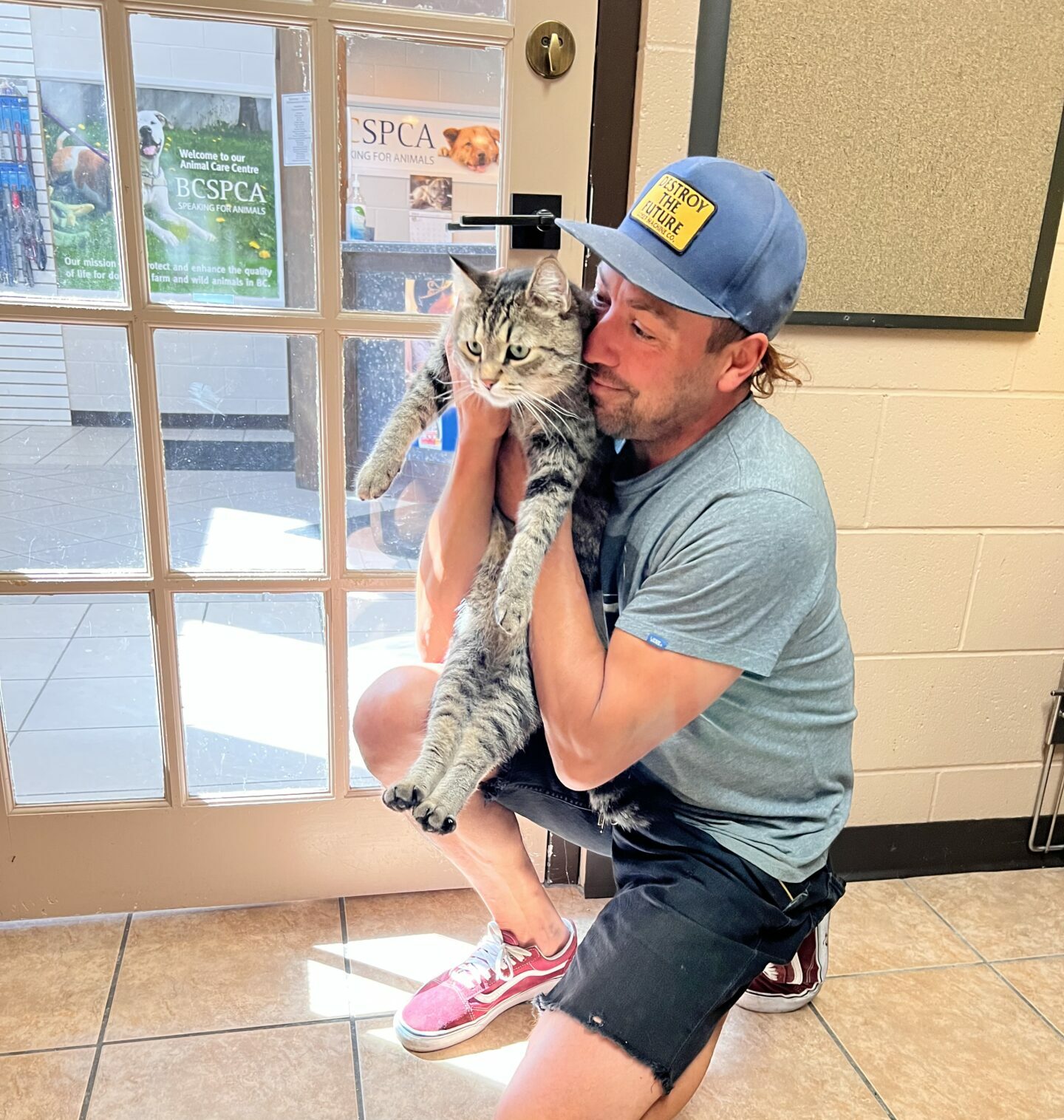 Ensuring Your Pet's Safety: The Essential Guide to Updating Microchip ...