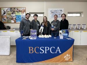 Microchip Lookup: A Vital Step in Pet Identification - BC Pet Registry