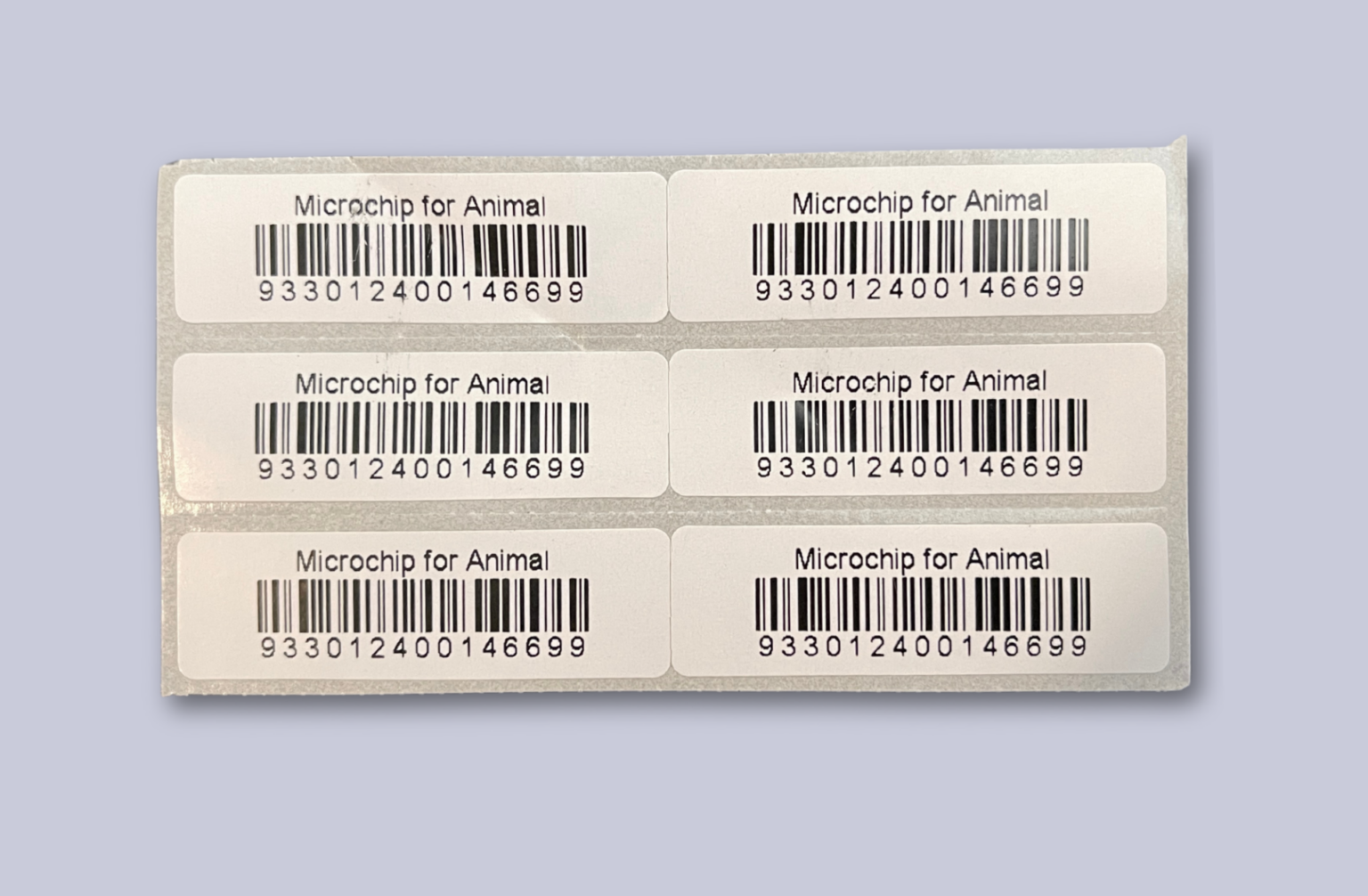 Microchip Lookup: A Vital Step in Pet Identification - BC Pet Registry