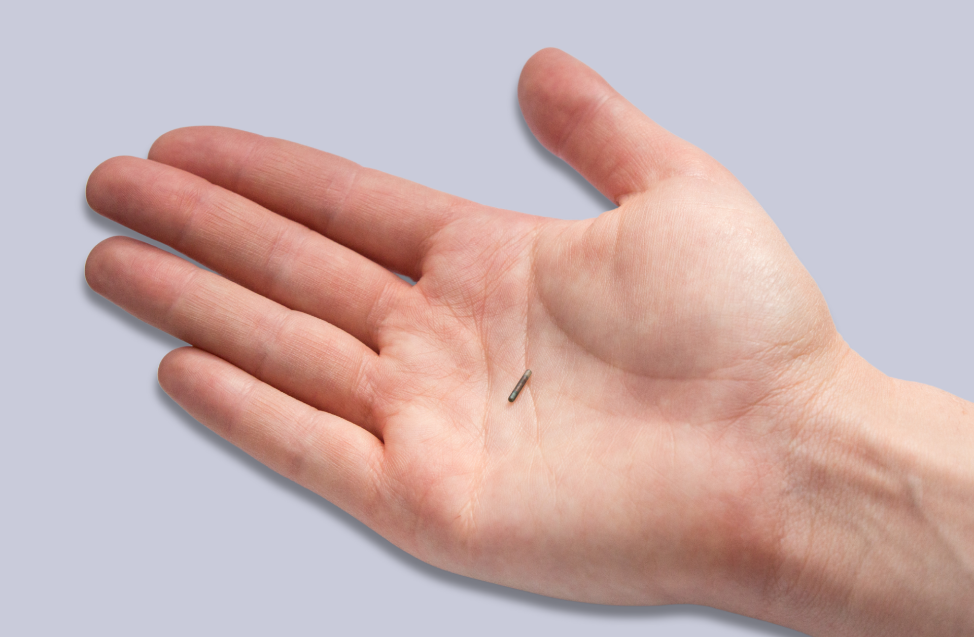 Pet Owner's Guide: Pet Tattoo Codes and Registration in British ...