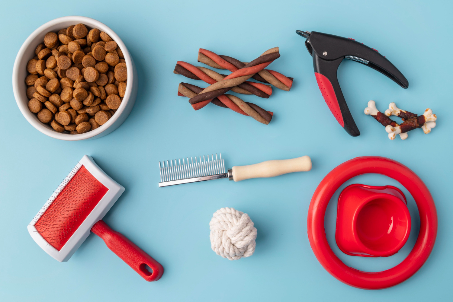 The Ultimate Checklist for New Pet Owners: Ensuring Health, Safety, and ...