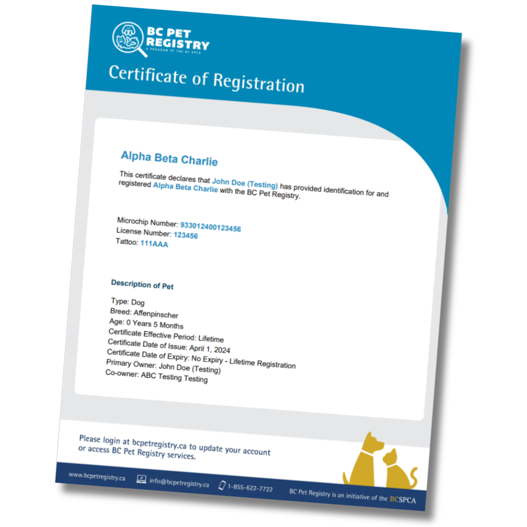 Secure Your Dog's Travel: New CDC Pet Travel Regulations Effective ...